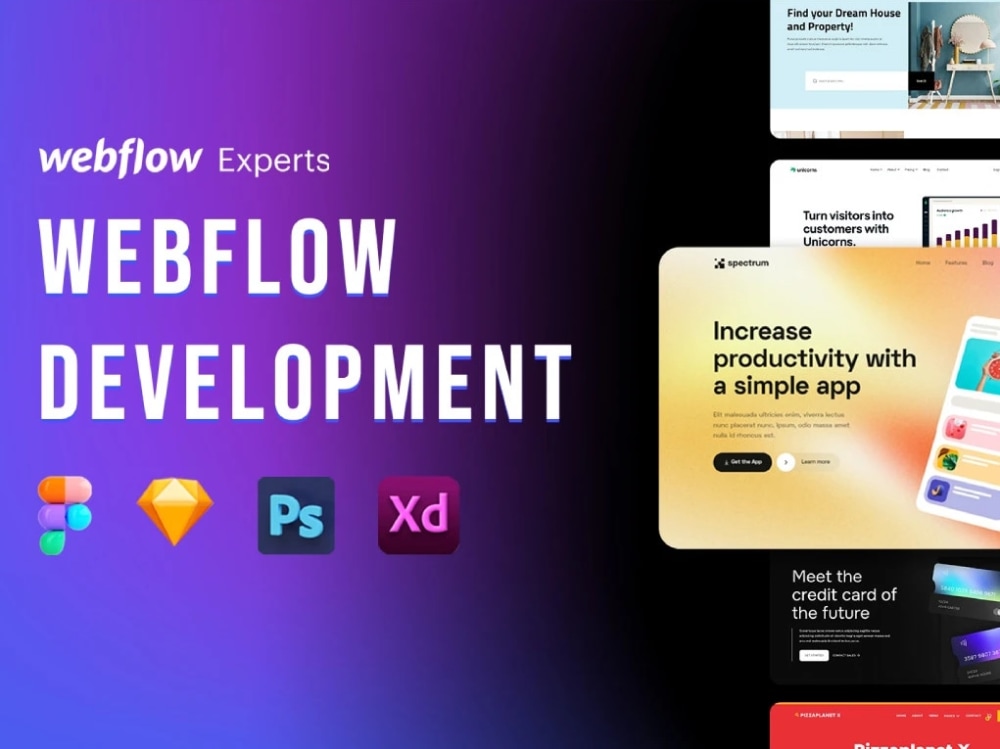A pro Webflow Developer to design a Webflow Website | Figma to Webflow | Upwork