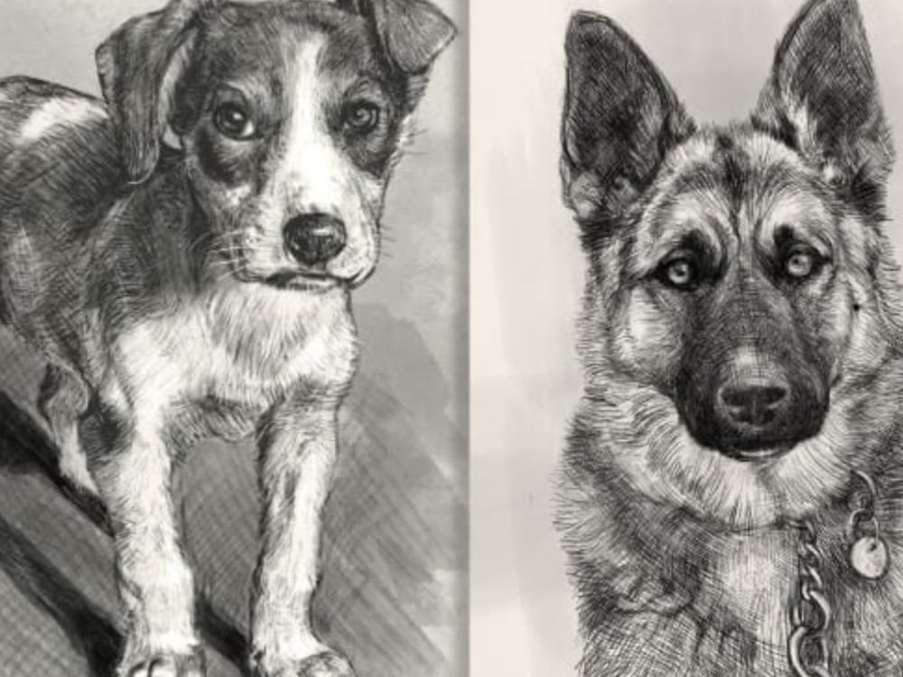 Realistic pencil sketch or technical drawings in 24 hours in any style ...