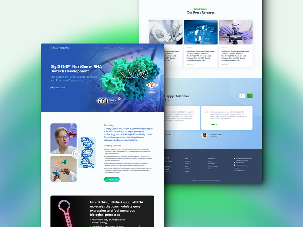 WordPress Website Design, WordPress Developer, WordPress Customization | Upwork