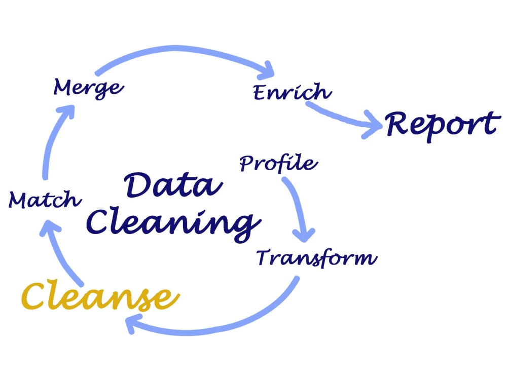 Professional manual typing, data entry, data cleaning & formatting ...