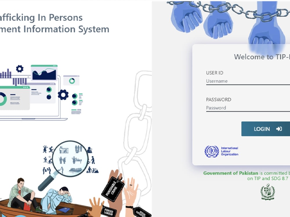 React js responsive web application with laravel | Upwork