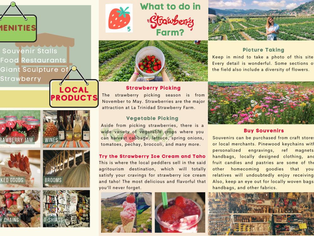 A creative brochure and Posters | Upwork