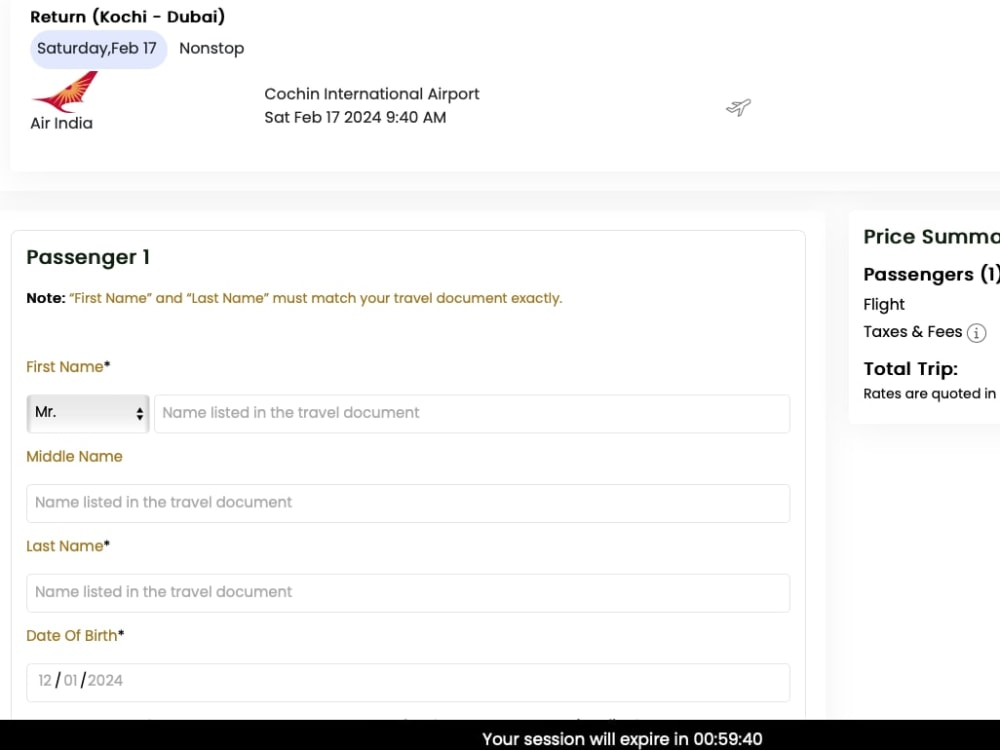 Flight booking software with attractive user interface | Upwork