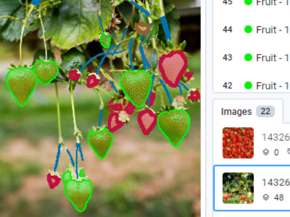 Bounding box, Polygon, Data labeling ,Image or video annotation for ai ...