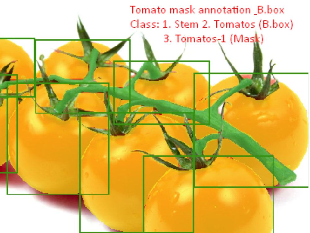 Bounding box, Polygon, Data labeling ,Image or video annotation for ai. | Upwork