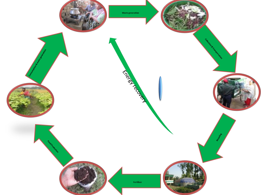 Sustainable Development and Waste Management Expert | Upwork