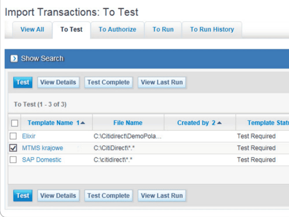 Payment file to upload into Citidirect (TXT flat file) | Upwork