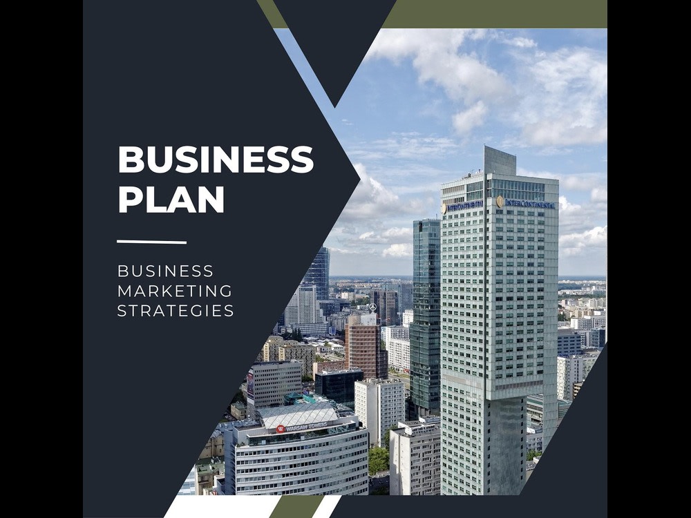 Compelling and convincing business plan with financial projection(any ...