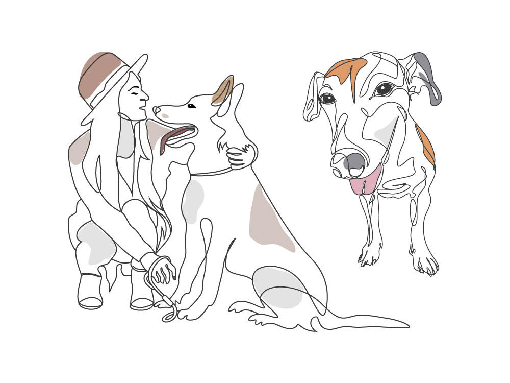 A continuous one line art, line drawing animation | Upwork
