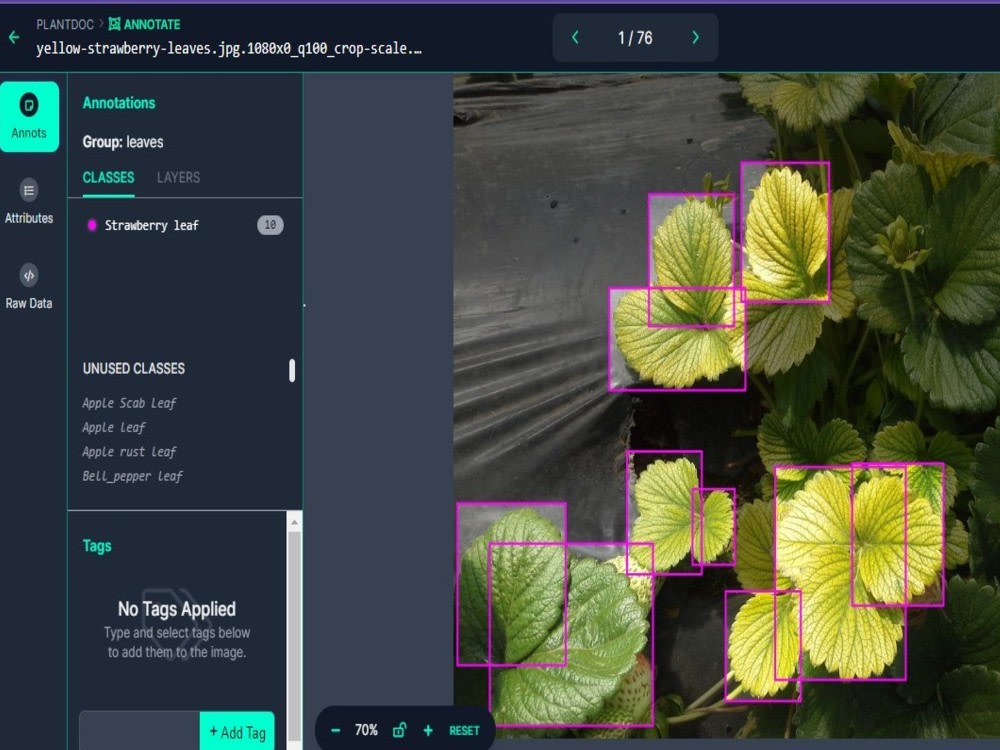 Segmentation, data labeling, and bounding box annotation for AI. | Upwork