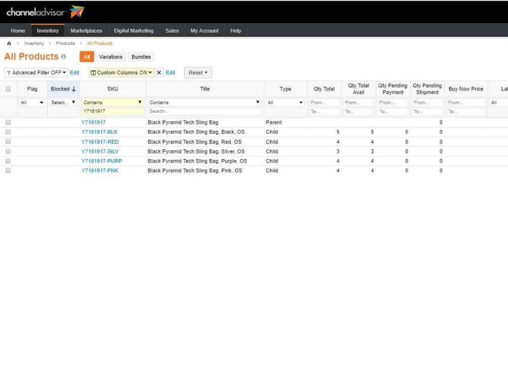 Channel Advisor Expert / Rithum Expert Multi Channels Management | Upwork