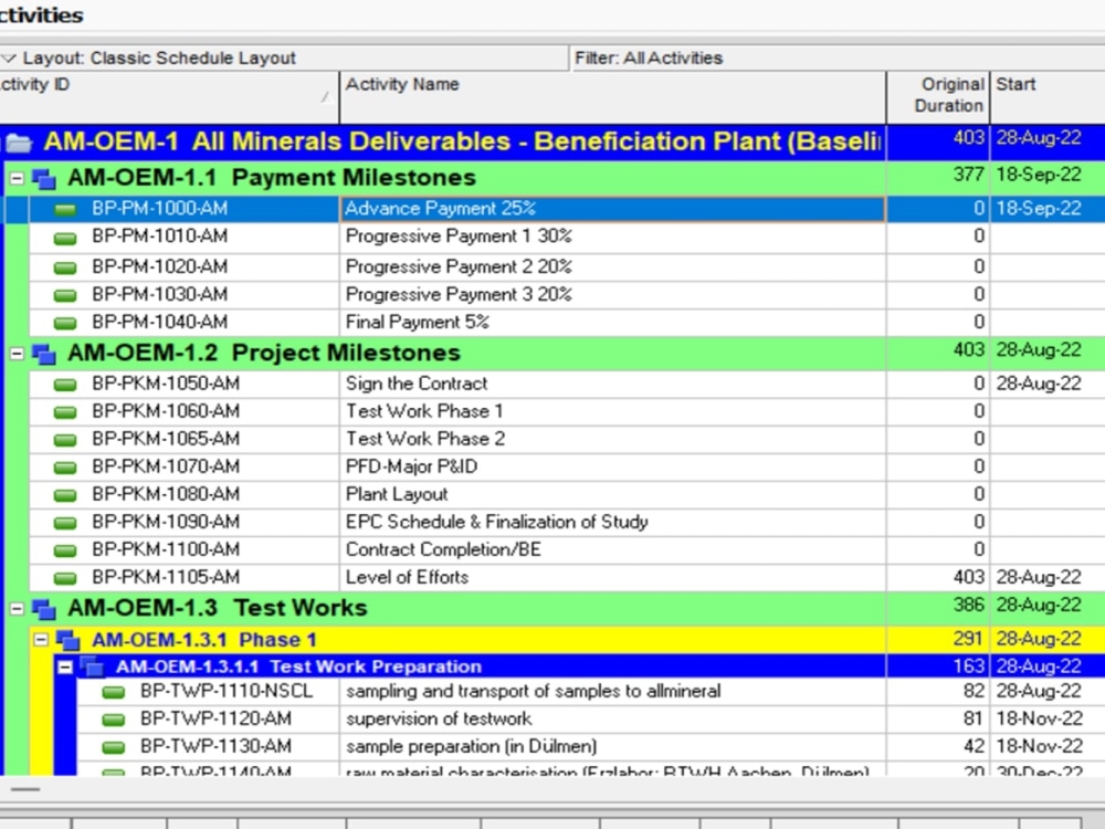A detailed baseline schedule with Primavera P6 and reporting on Power ...