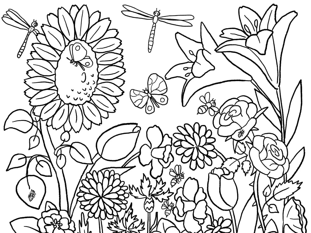 A printable coloring page, worksheet or educational activity sheet | Upwork