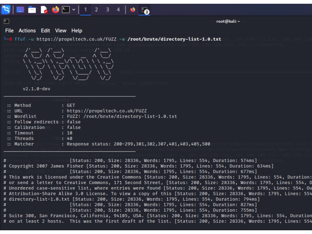 Professional Web Application Penetration Testing Owasp Top 10 Upwork