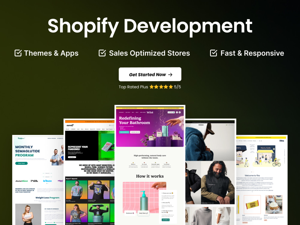 Shopify Dropshipping Store, Shopify eCommerce Store, Shopify Website ...
