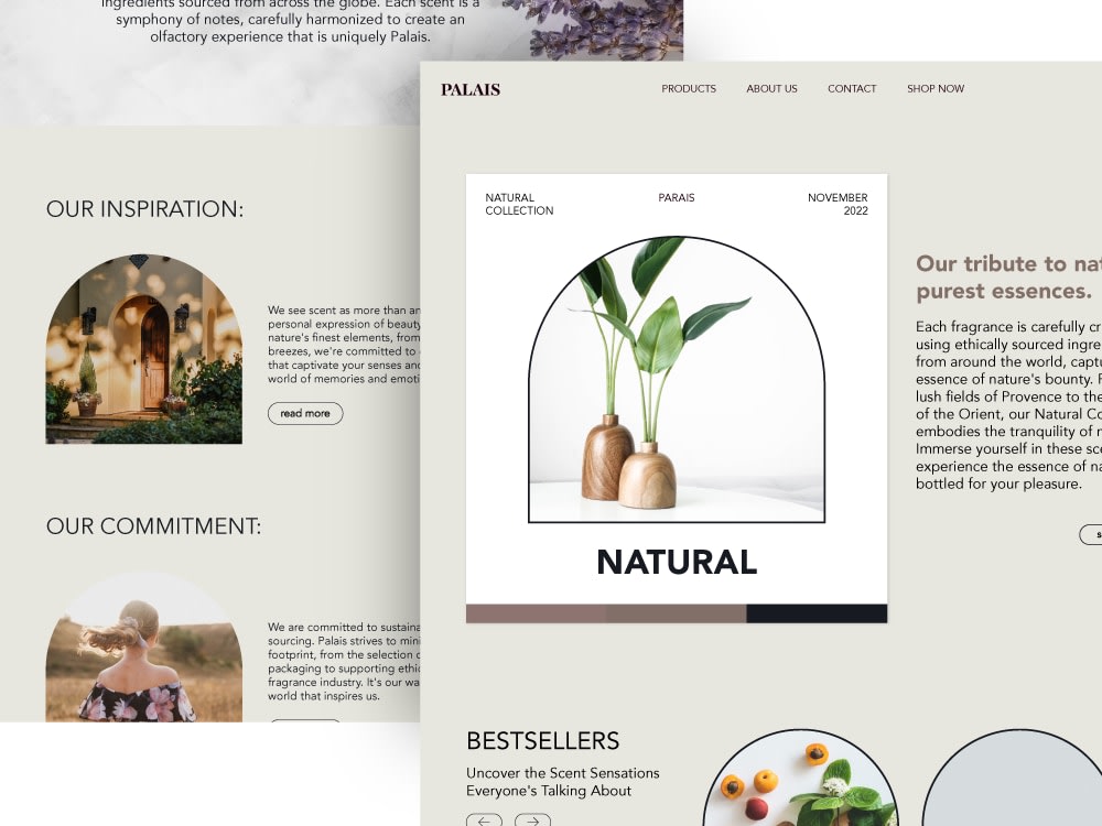 A professional logo and brand guidelines document | Upwork