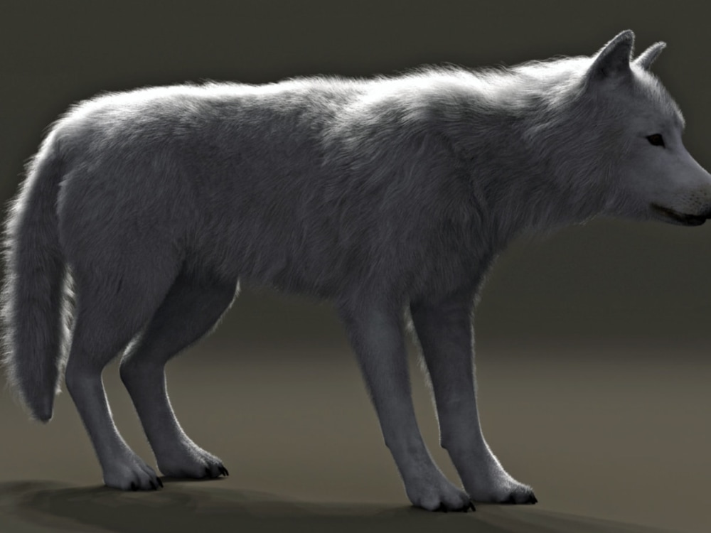 Realistic 3d animal model with 8k rendering and 1080p resolution ...