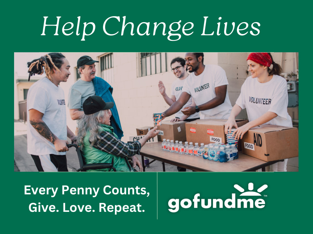 Gofundme crowdfunding campaign, campaign marketing, campaign promotion ...