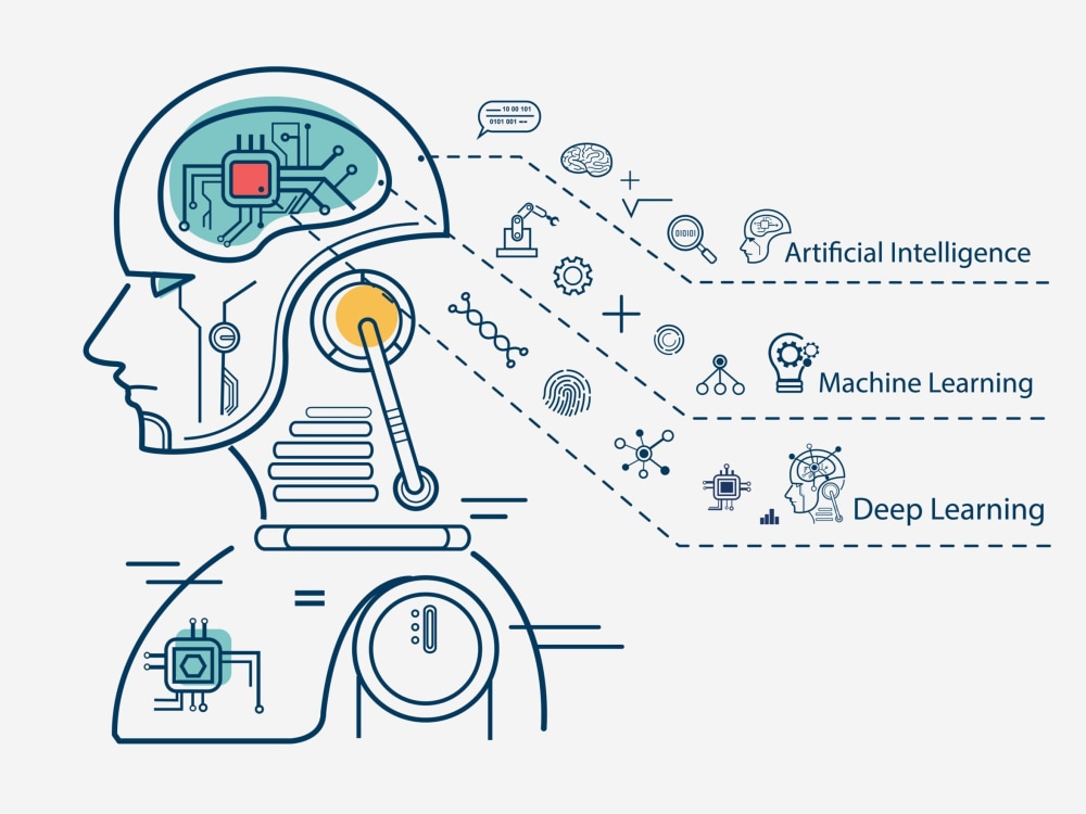 Machine Learning, Deep learning, CV, NLP and LLMs solution | Upwork