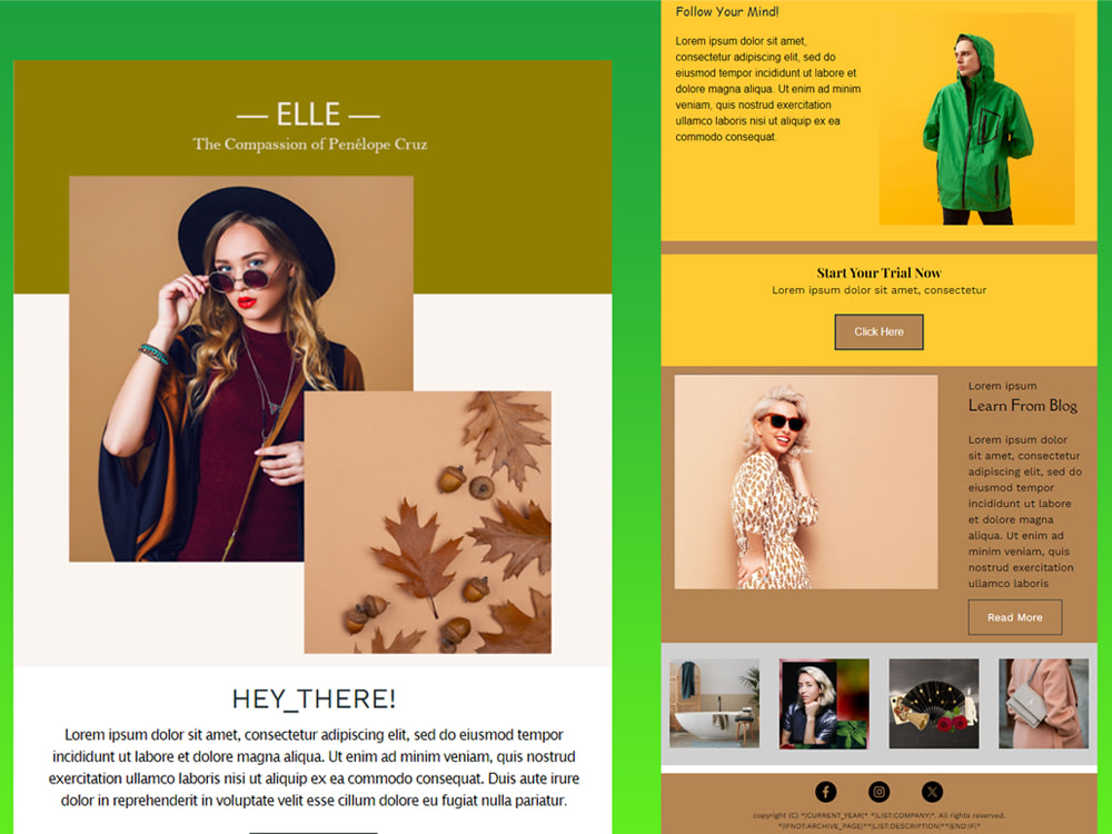 A professional Email Templates design | Upwork