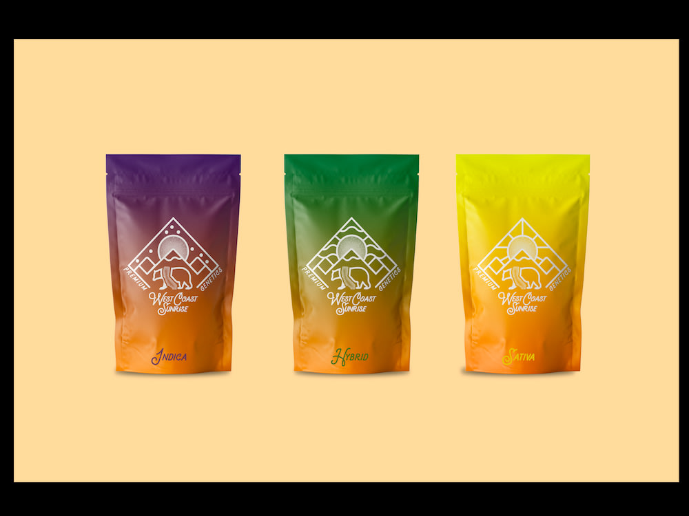 Customized product design for your brand | Upwork