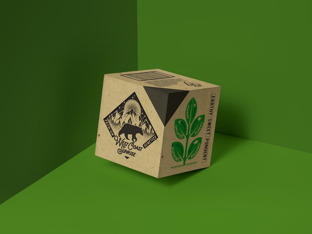 Customized product design for your brand | Upwork