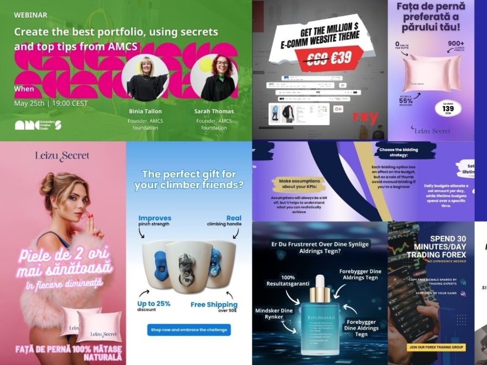 Full set-up and management of Meta Ads campaign, creatives included ...