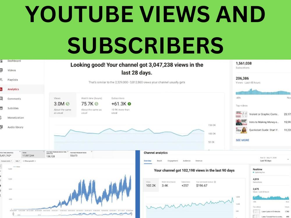 Perfect youtube channel manager for growth and optimization | Upwork