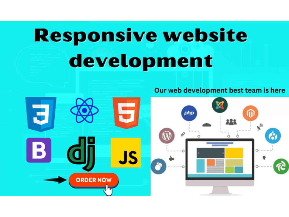Professional Responsive Website Development Services | Upwork