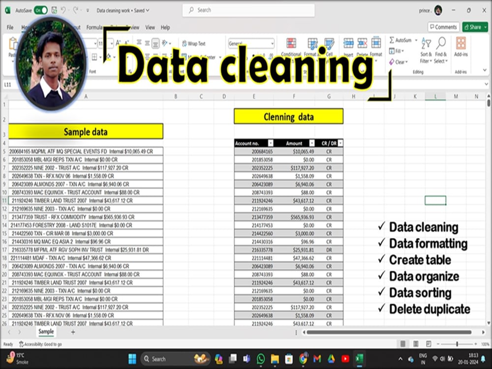 Data cleaning ,formating,organize in excel/google sheet | Upwork