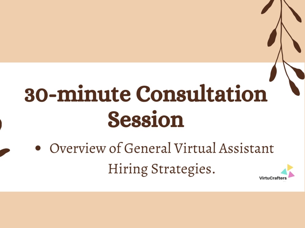 A 30-minute consultation for hiring General Virtual Assistant | Upwork