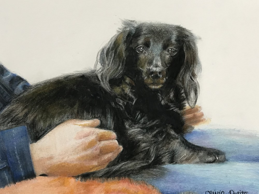 A realistic pet portrait hand drawn by me and delivered straight to you ...