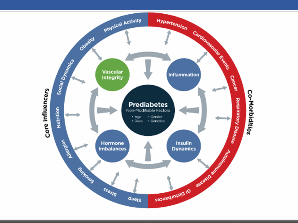 A professional Visio diagram from a hand sketch, draft or from scratch ...