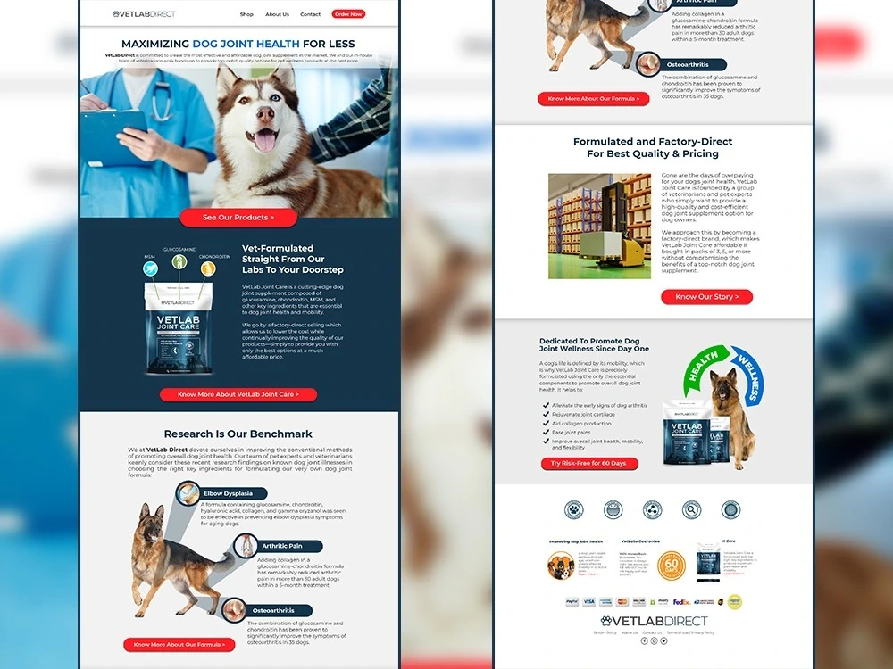 A stunning and professional webpage mock ups that represent your ...