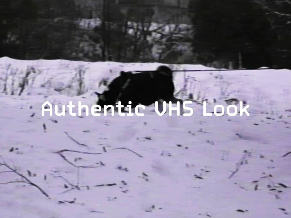 A converted video with a authentic VHS look | Upwork