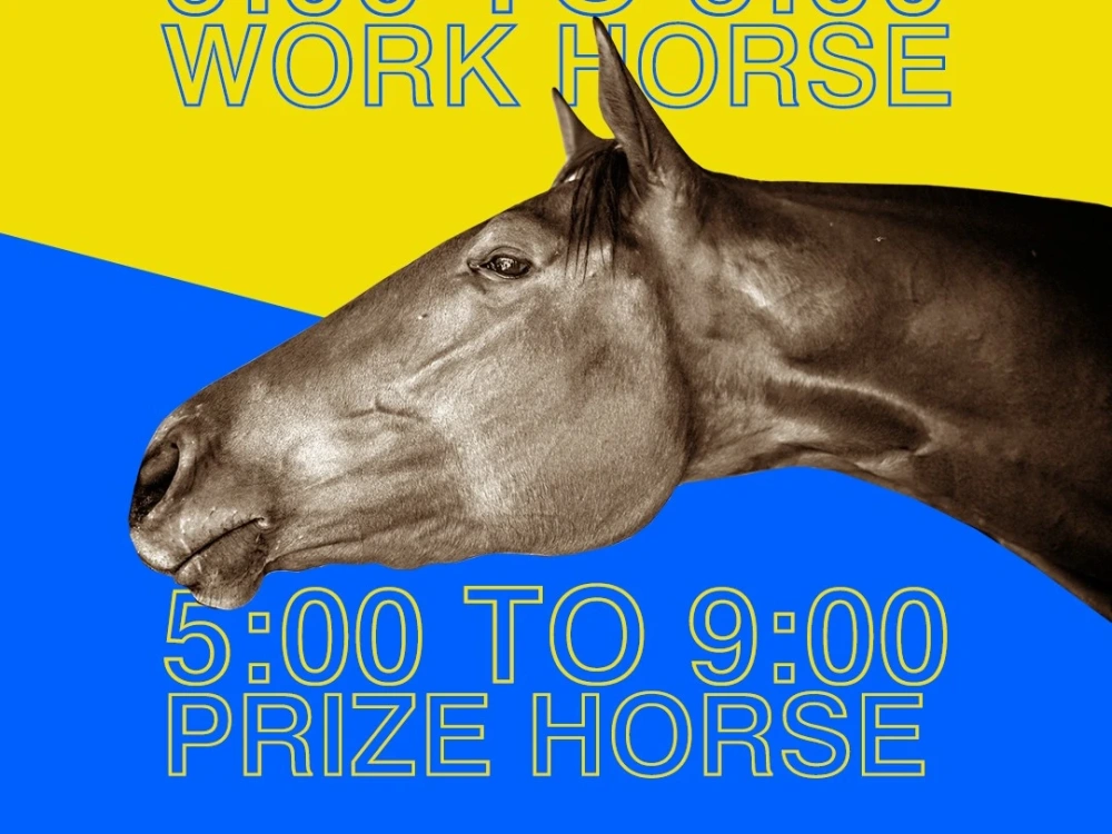 High impact visuals for your advertising design assets | Upwork