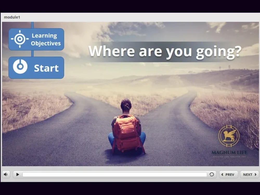 An interactive module by Articulate 360 (Storyline & Rise 360) | Upwork