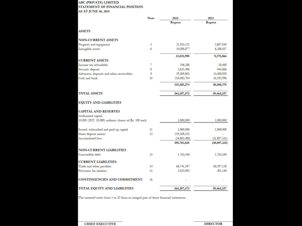 Profit and Loss statement, Balance Sheet and Cash Flows Statement | Upwork