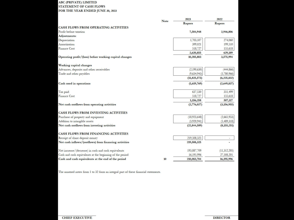 Profit and Loss statement, Balance Sheet and Cash Flows Statement | Upwork