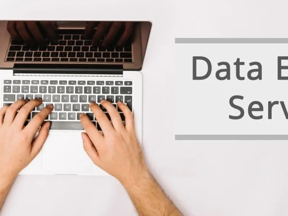Data Entry, Web Research, Copy Paste, Typing, Data Mining or Web Scraping | Upwork