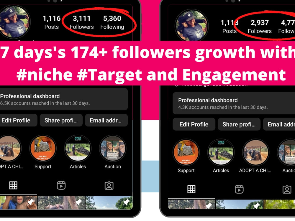 Instagram real follower growth with target | Upwork