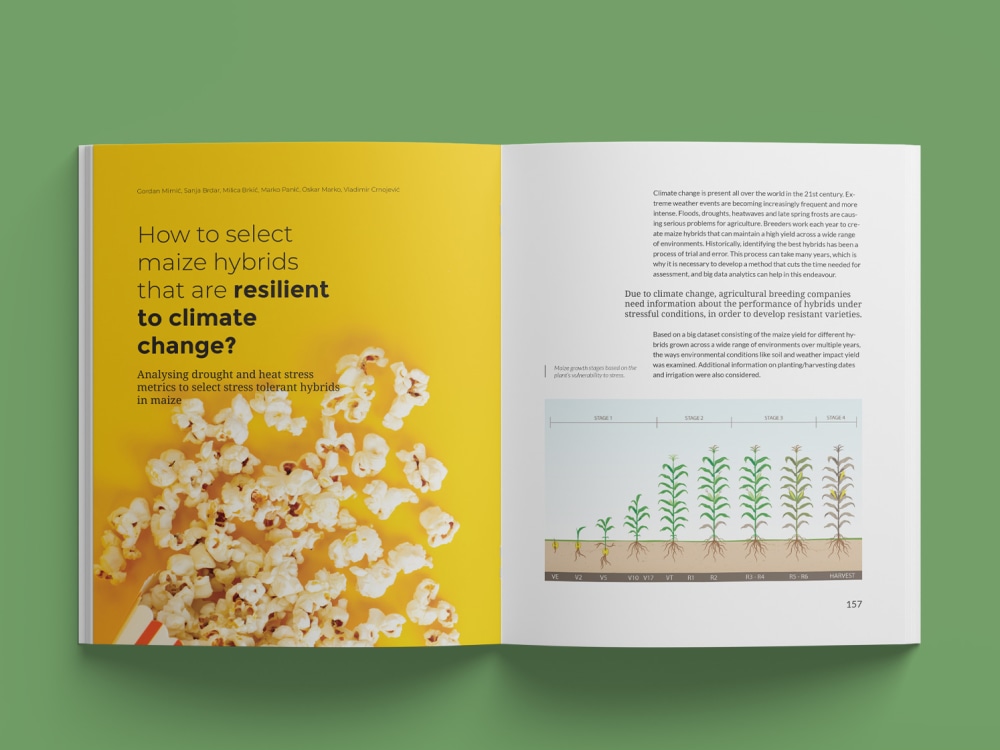 A Product Catalog, Book or Magazine Design | Upwork