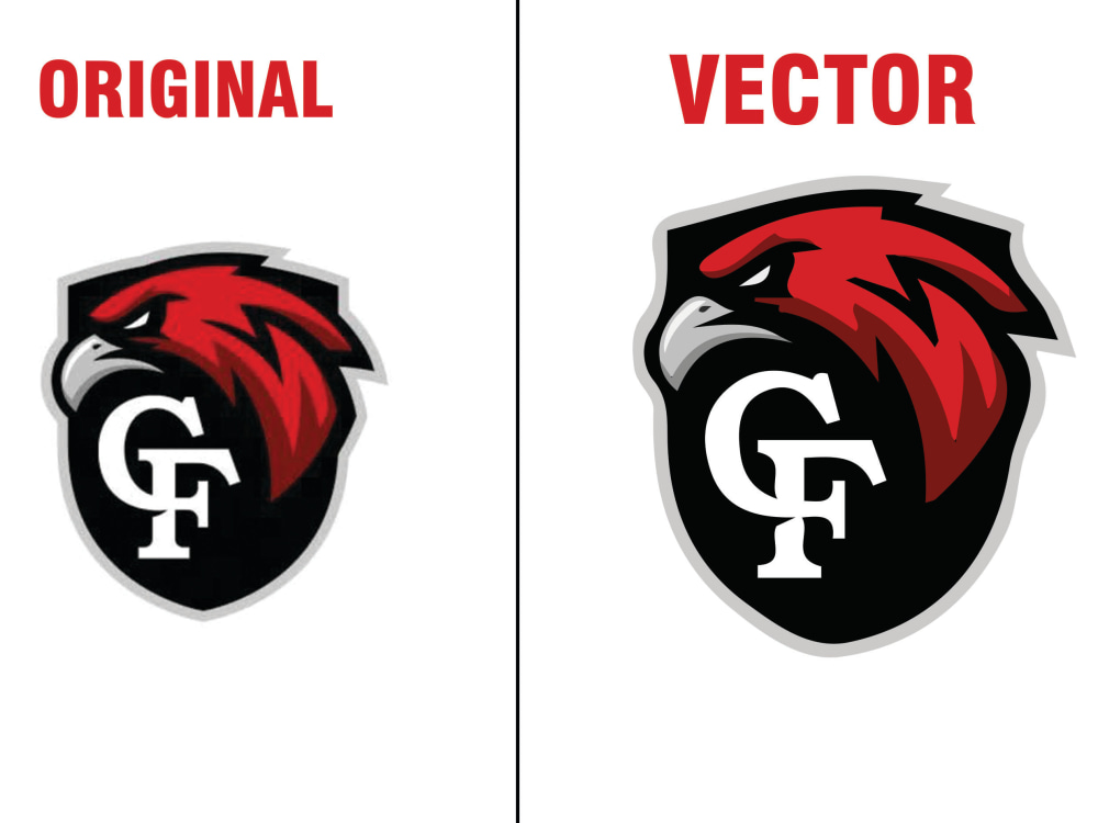 Raster Image to Vector and & vector tracing of your image or logo | Upwork