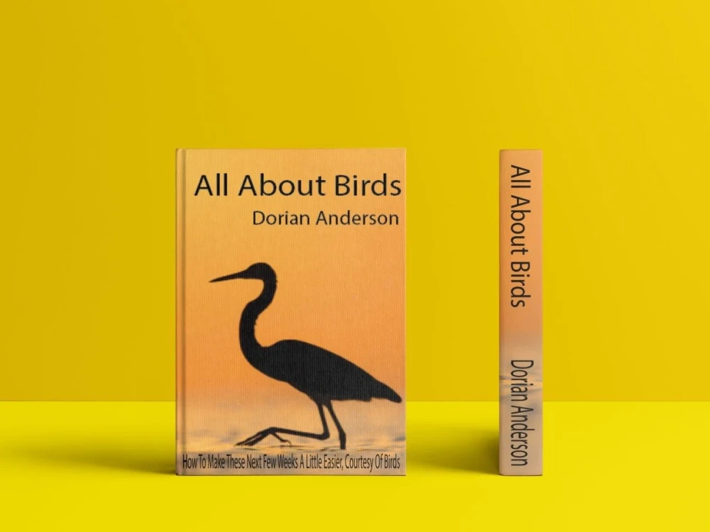 Professional Book cover design, kindle, 3D book cover, paperback book ...