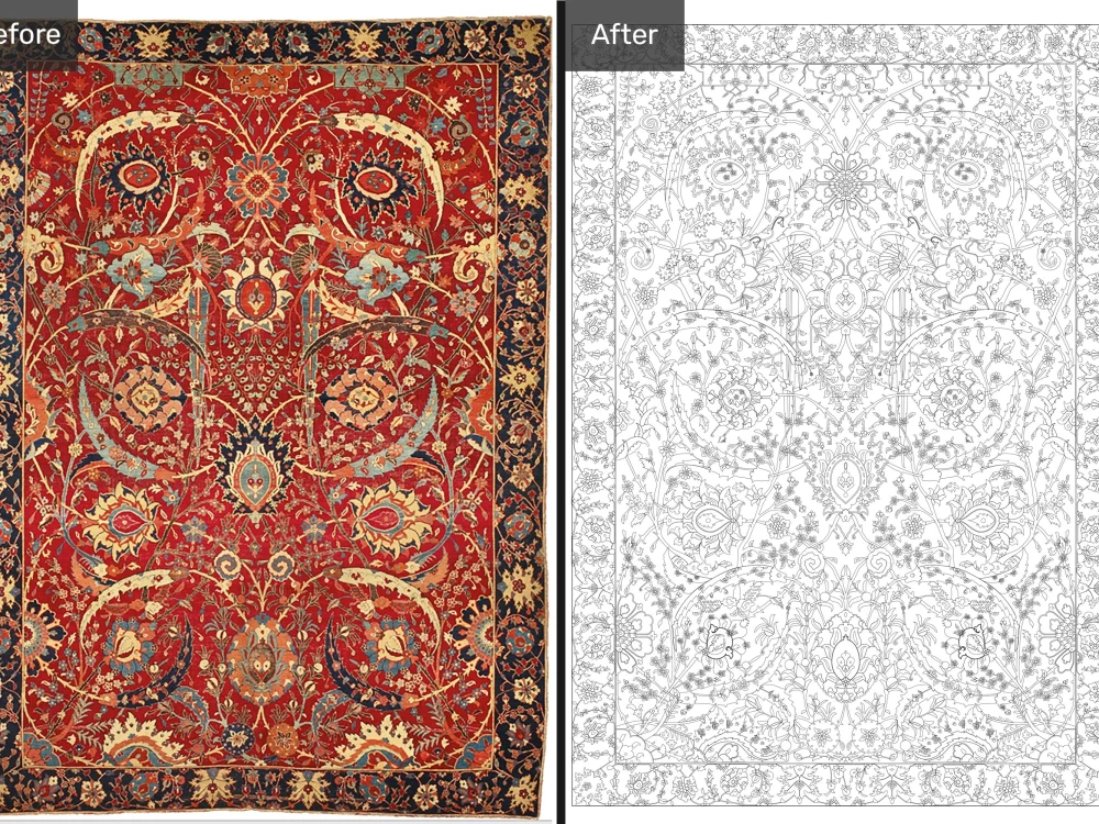 A fantastic vector outline and line art from any image | Upwork