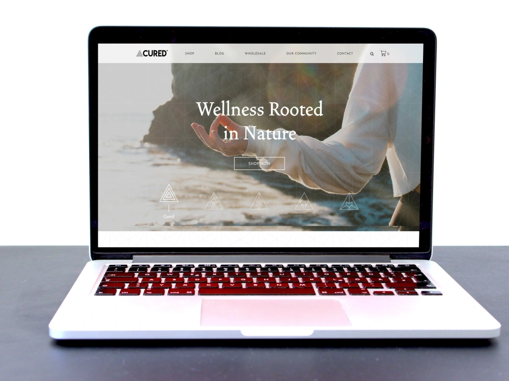 Full Stack Web Application in React | Upwork