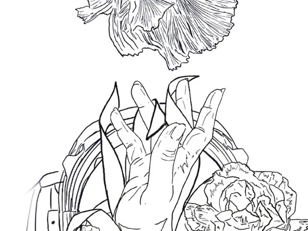 Beautiful detailed vector line artwork to amplify your project | Upwork