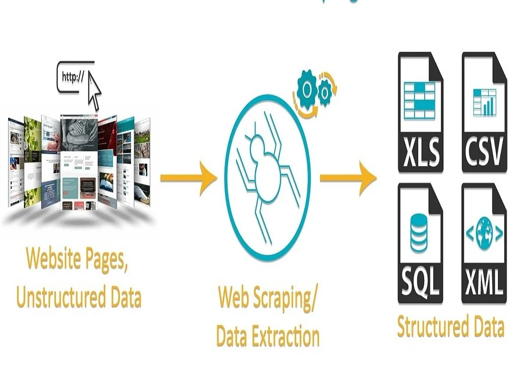 Your Extracted Data from any sources | Upwork