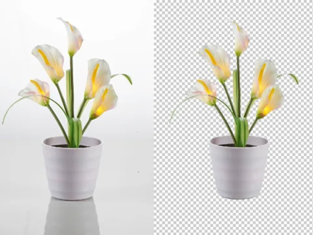 Clipping path of your product | Upwork