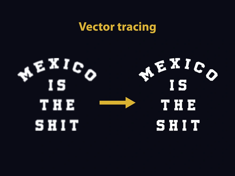 Edit text, size and color of your logo and image to vector | Upwork